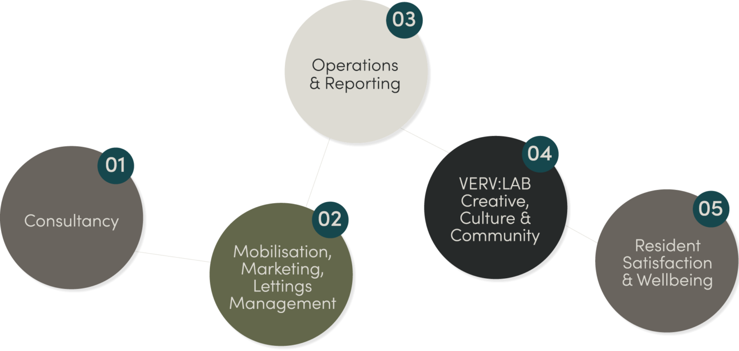 Our Capabilities – VervLife